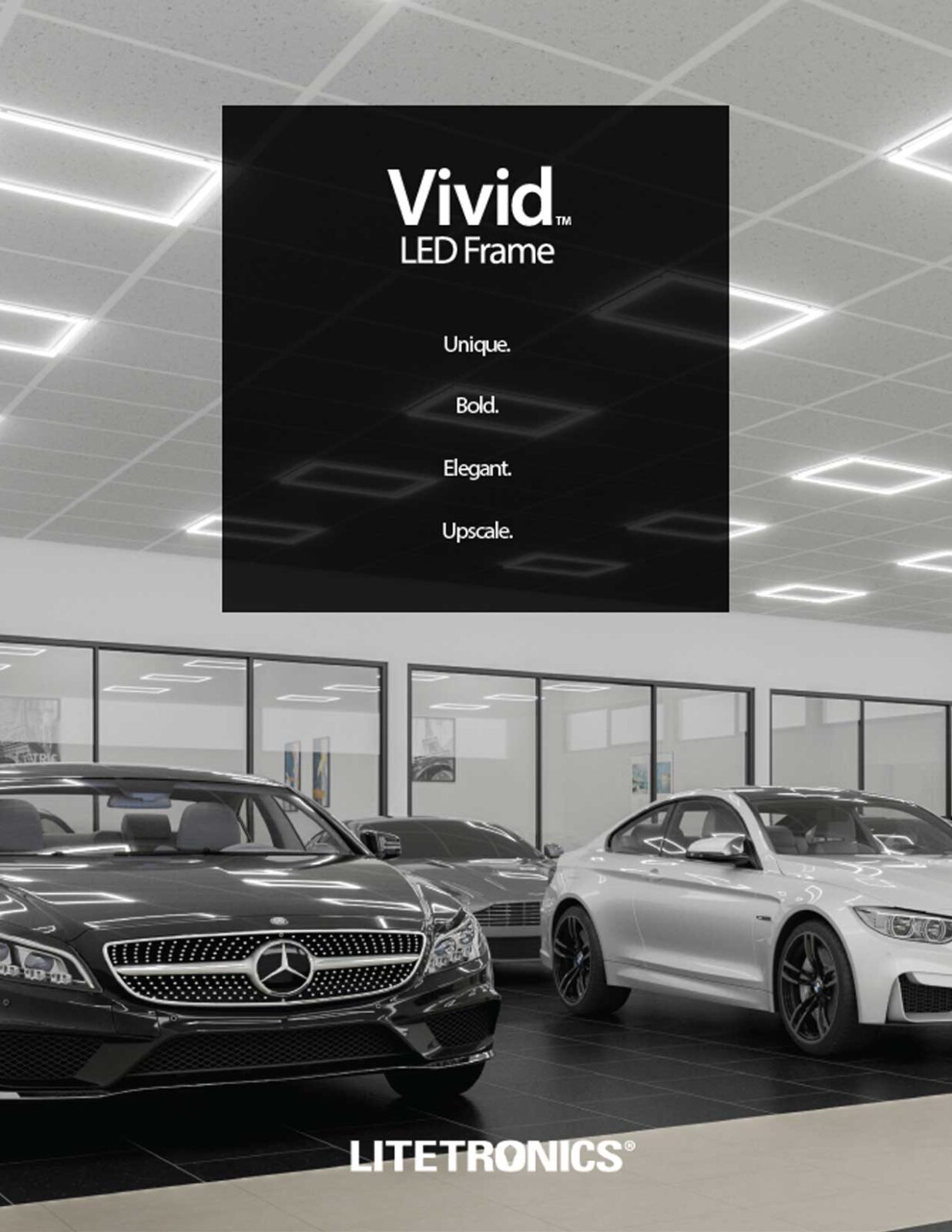 Vivid LED Frame Archives - Litetronics